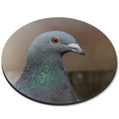 Round Mouse Mat Pigeon Portrait Homing Bird Pigeons #51671 | eBay UK