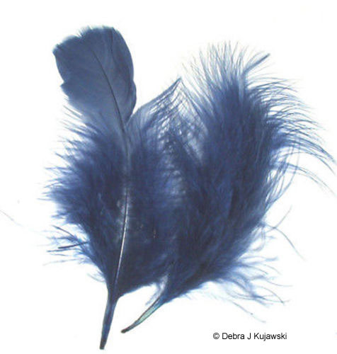3-8" Feathers Marabou Fluffy 1/2 oz (15 grams) 30 Colors Approx 70 per ...