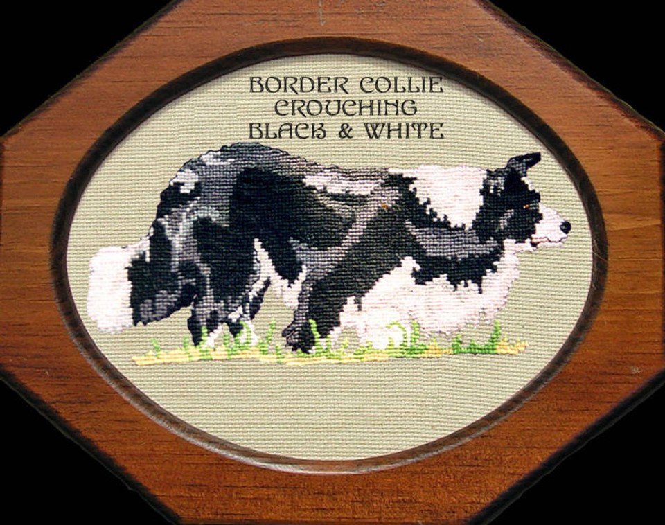 COLLIE, BEARDED & BORDER COUNTED CROSS STITCH PATTERNS | eBay