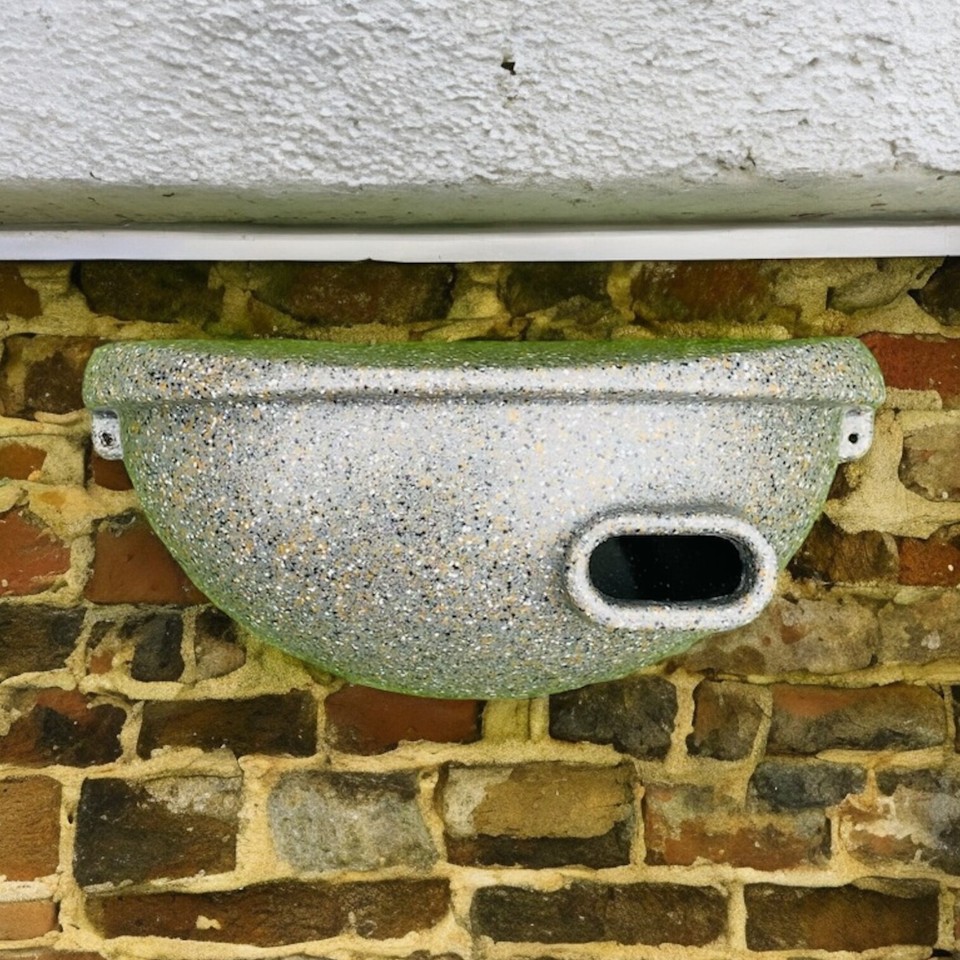 Swift bird Nesting Box - Wall Mounted - (Free UK Delivery) | eBay UK