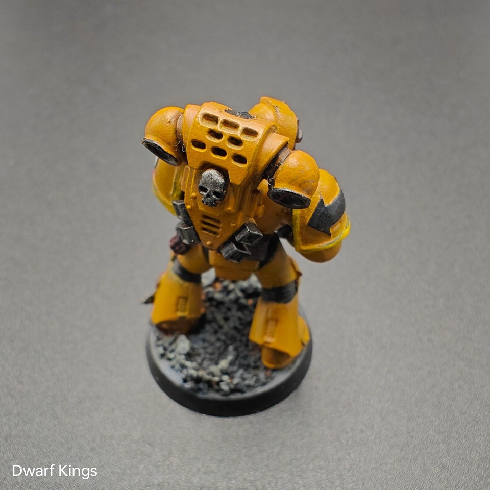 Warhammer 40K Imperial Fists Primaris Intercessors (Painted, 8th ...