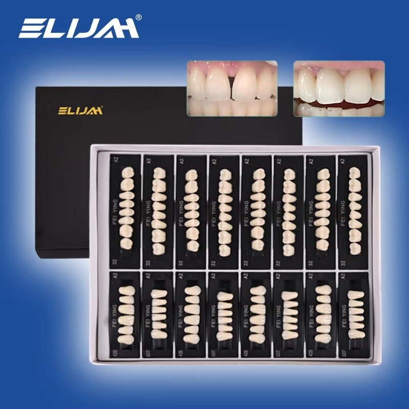 Dental Acrylic Resin Denture Teeth Upper Lower Full Set Shade Posterior ...