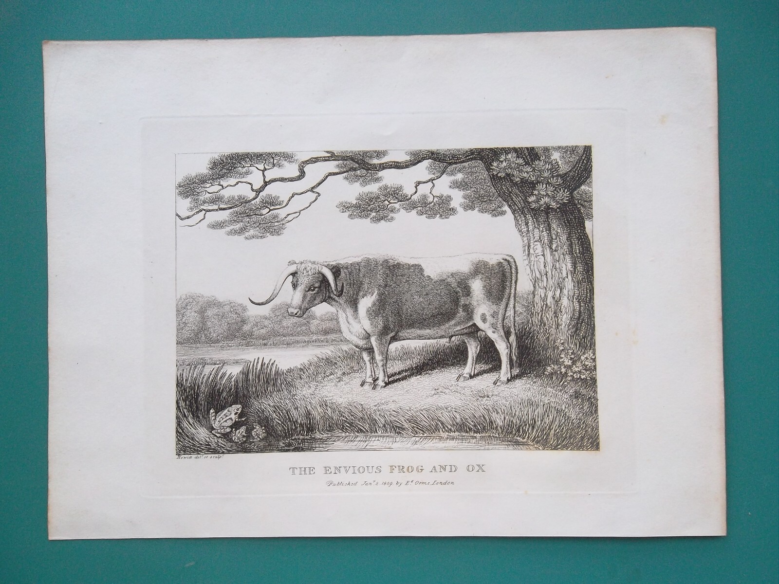 AESOP FABLES Envious Frog & Ox - 1810 Original Etching Print by S ...