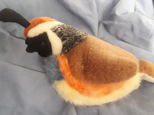 Quail Plush Wild Republic Audubon Bird CALIFORNIA 8” Stuffed Animal NO ...