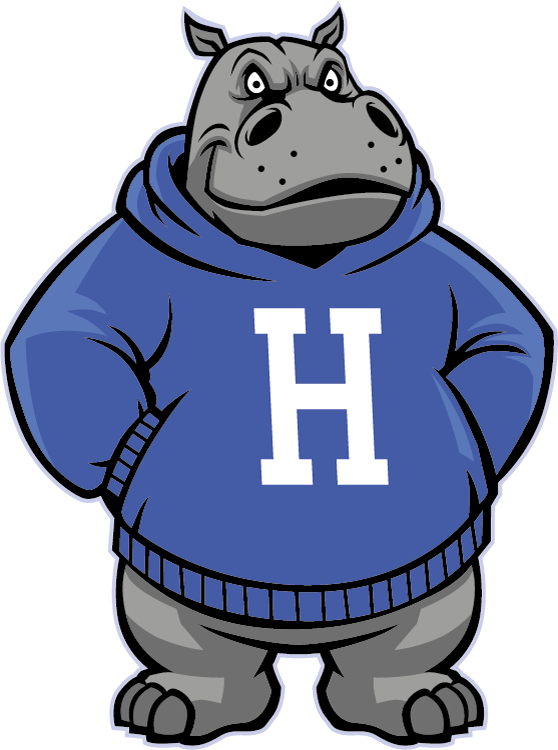 Hippopotamus Car Bumper Sticker Decal | eBay