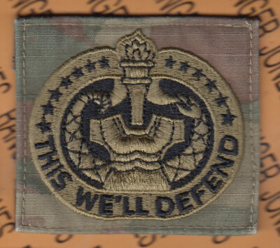 US Army DRILL INSTRUCTOR DI Sergeant OCP ~3" sewn pocket patch | eBay