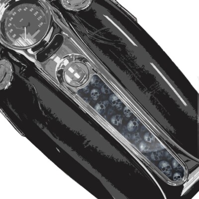 Grey Skull Pile Dash Panel Insert Fits Harley 2000 - 2007 Softail Deuce ...