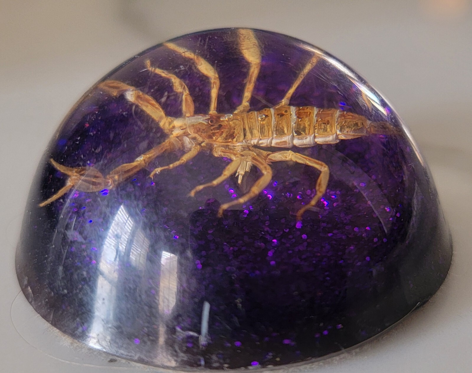 Vintage Desert Scorpian In Lucite Necklace & Dome Paperweight Purple ...