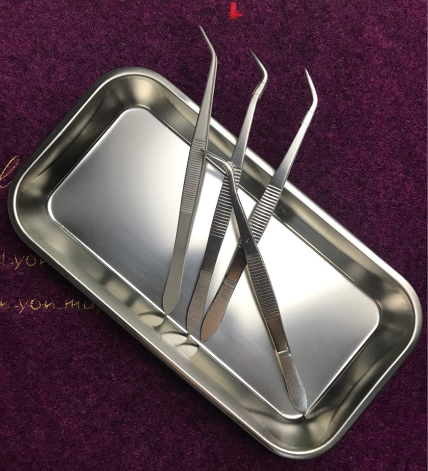 3-Pack Medical Tray Stainless Steel Dental Lab Instruments Surgical ...