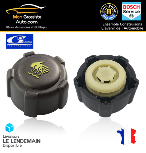 Reservoir Cap Of Coolant Renault-Dacia-Opel-Mercedes | eBay