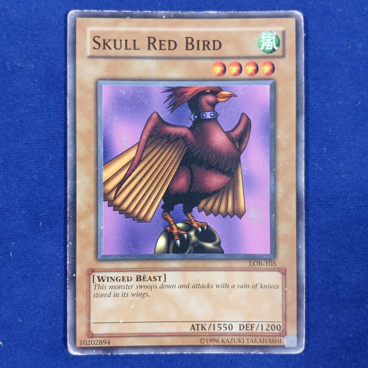 Red Dragon White Bird Logo