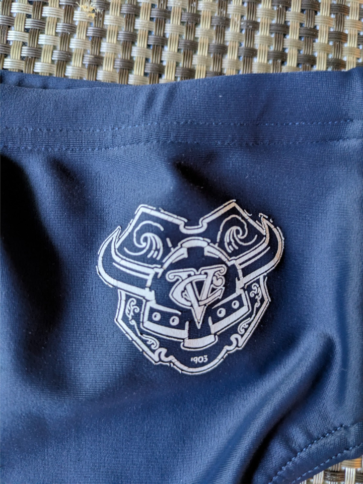 MEN'S SWIM TEAM BRIEFS: Speedo-Style Blue Viking Mascot Swimsuit MEDIUM ...
