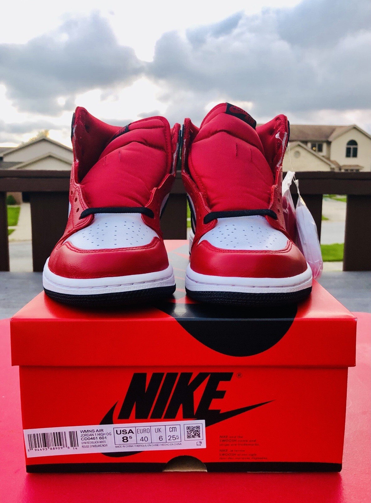 Nike Air Jordan 1 Satin Snake Chicago Men Size 7 / Women 8.5 Bred Dunk ...