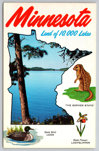 Minnesota State Land of 10000 Lakes Map Postcard | eBay