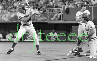 1977 Champ Summers CINCINNATI REDS - 35mm Baseball Negative | eBay