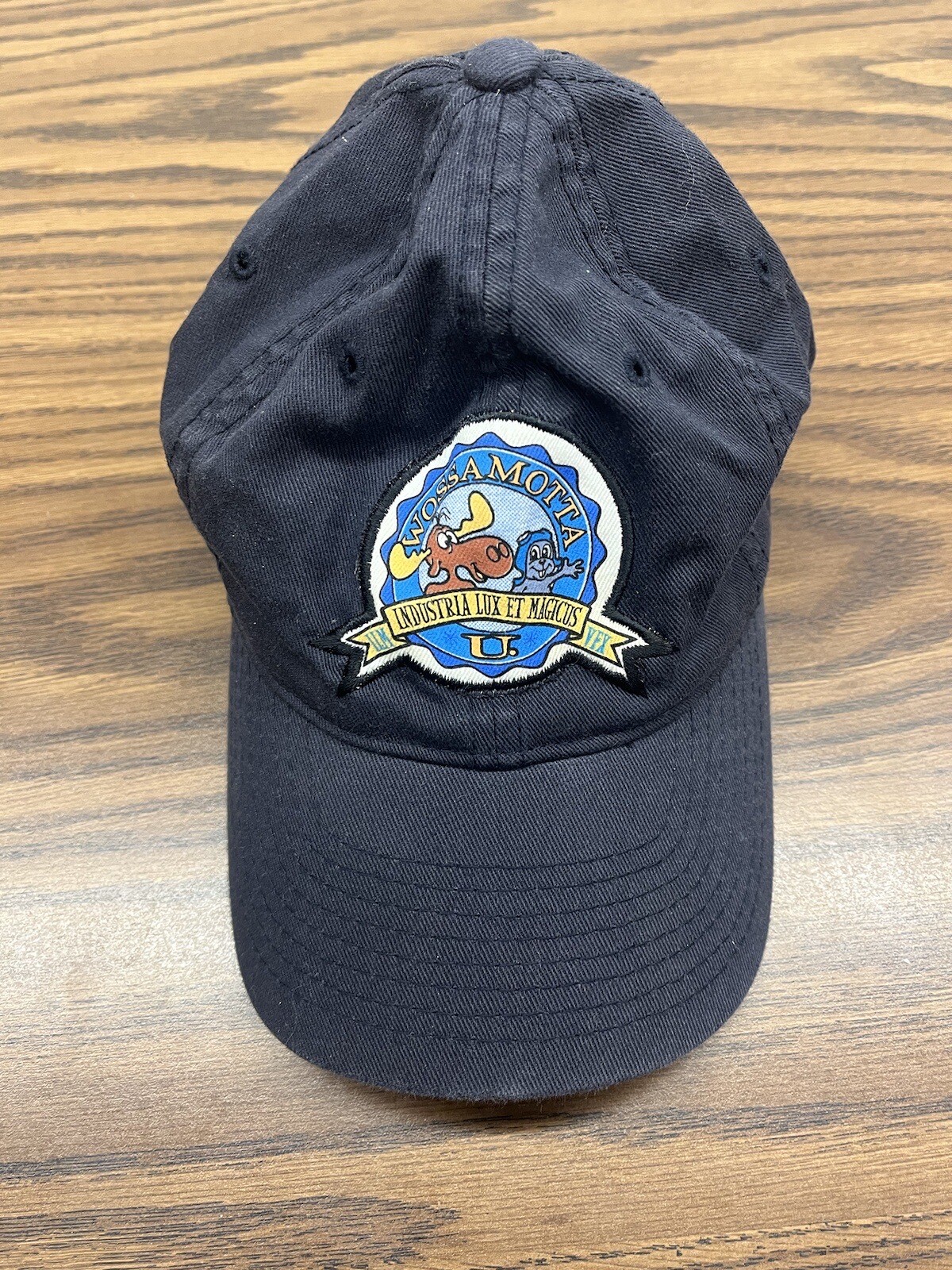 Vintage Rocky and Bullwinkle ILM VFX Hat Rare Film Crew Cap Lucas THX A ...