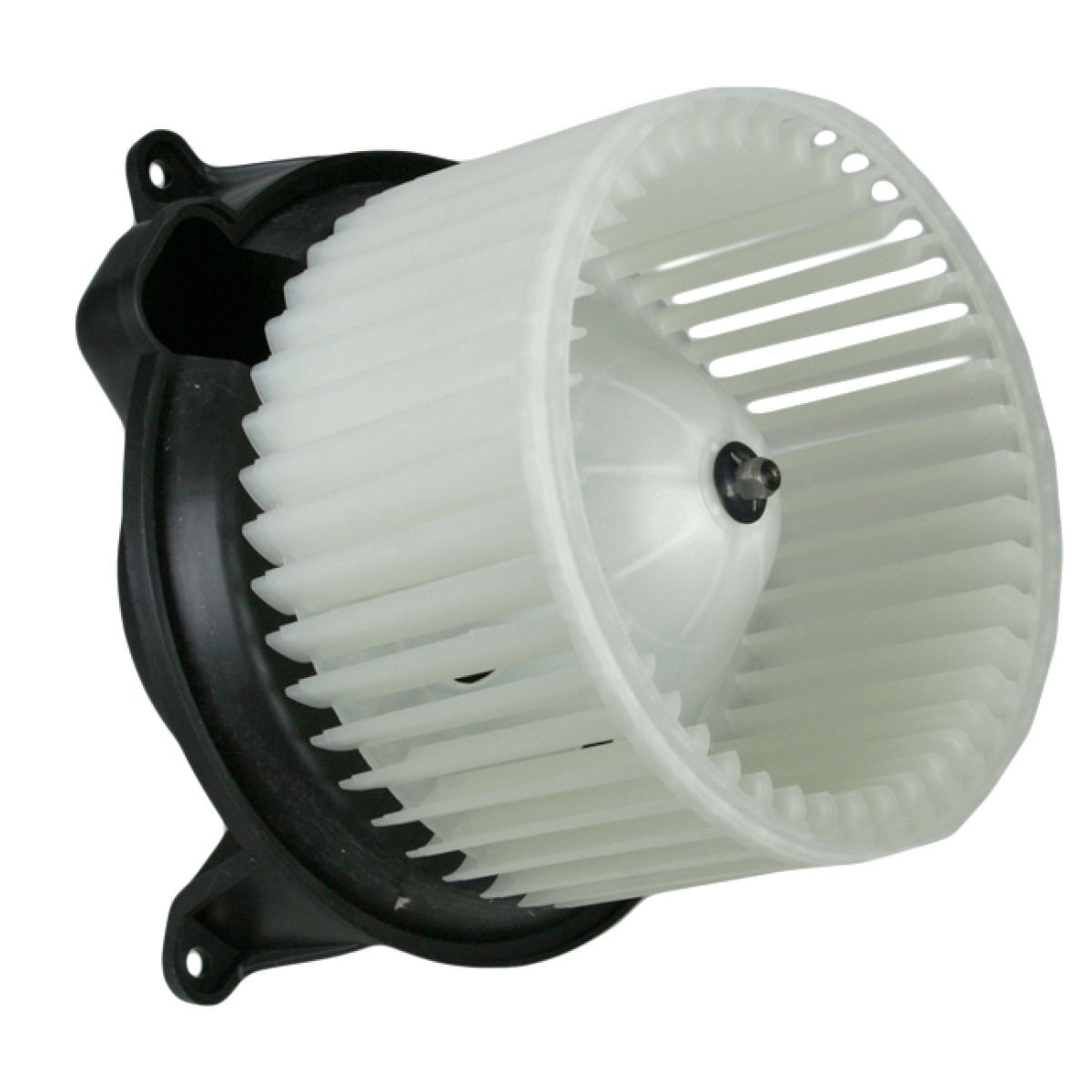 Heater Blower Motor w/ Fan Cage for Ford Lincoln Expedition F150 Pickup ...