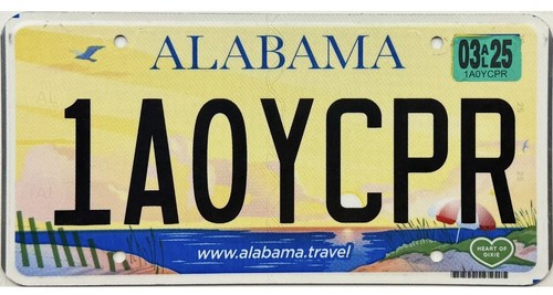 *BARGAIN BIN* Alabama Beach Scene License Plate #1A0YCPR | eBay