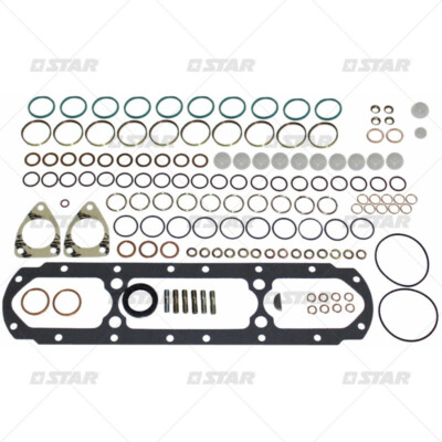 GASKET KIT Bosch P Type Pump 10 Cylinders Ref 2417010004 | eBay