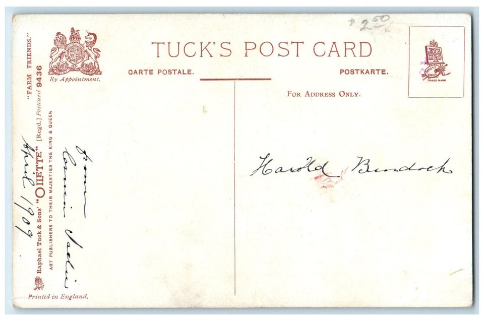 Postcard At A Safe Distance Jack Russell Terrier Swan 1909 Oilette Tuck ...