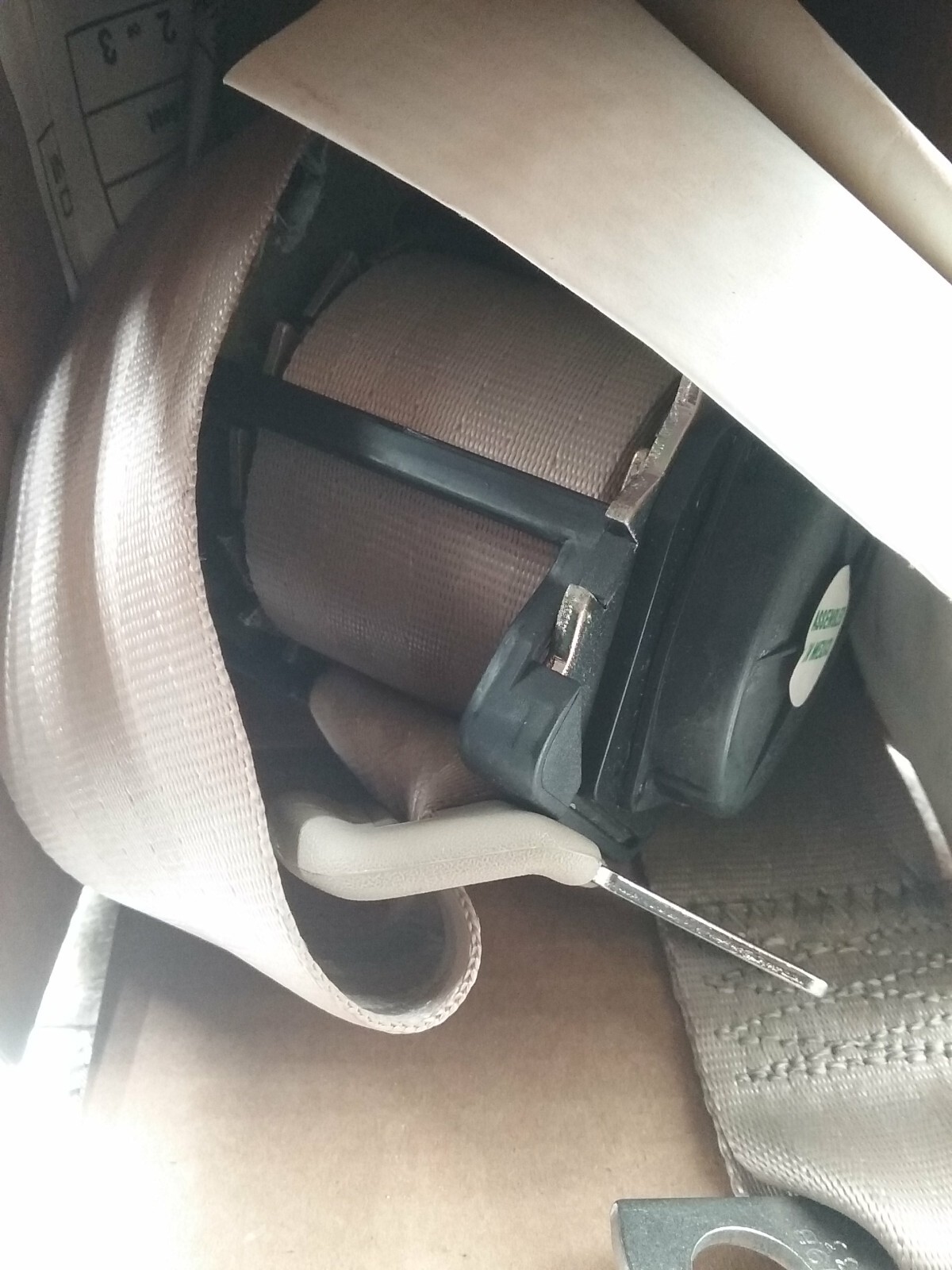 Genuine GM Belt Kit 12369784 Rear Intrigue Oldsmobile 88899032 | eBay