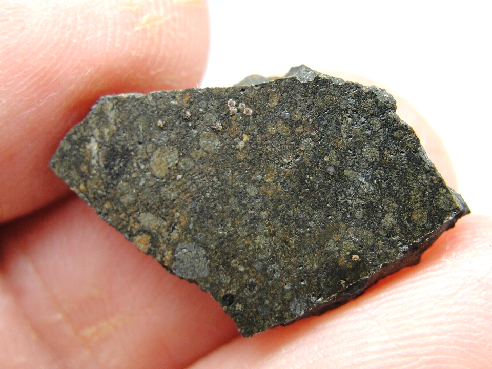 NWA 6550 Meteorite LL3.7 Type 3 Chondrite - G065-0298 - 1.99g w/COA ...