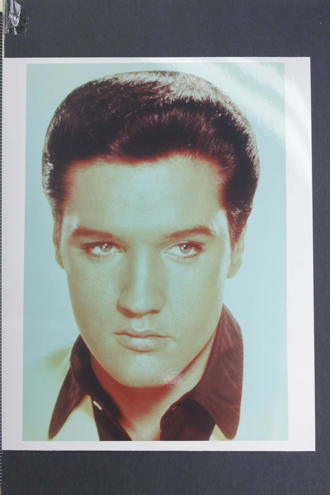 Elvis Presley Headshot Portrait LOW RES Promo 8x10" Photo Pre-2012 ...