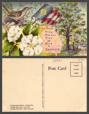 GEORGIA VINTAGE POSTCARD | eBay