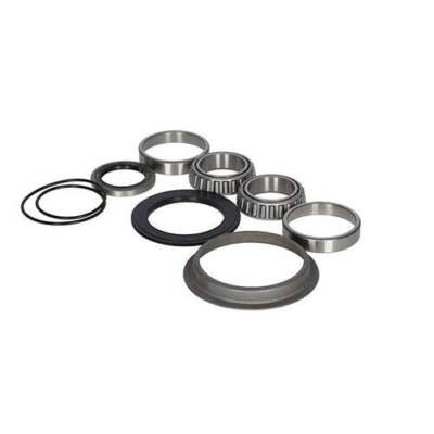 Axle Bearing Kit fits New Holland L160 L170 L565 LS160 LS170 LX565 ...