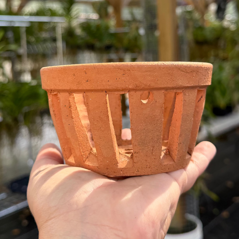 4” Clay Orchid Pots with holes- Various Designs | eBay