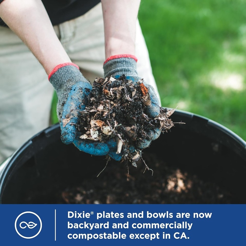 Dixie Large Paper Plates,10 Inch, 204 Count,2X Stronger,Microwave-Safe ...