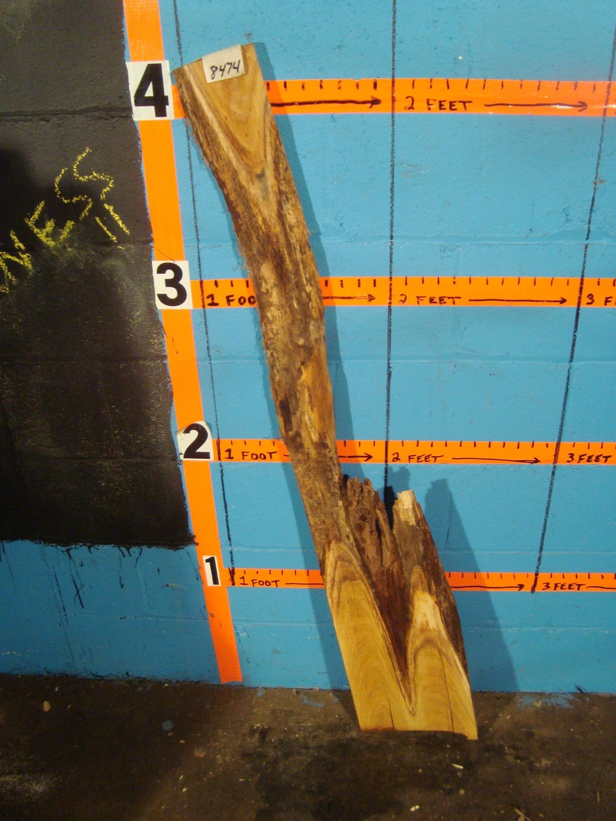 # 8474 3/4" THICK black locust live edge slab wood lumber rustic | eBay