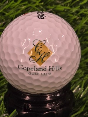 Copeland Hills Golf Club — Powder Springs, Georgia Logo Golf Ball | eBay