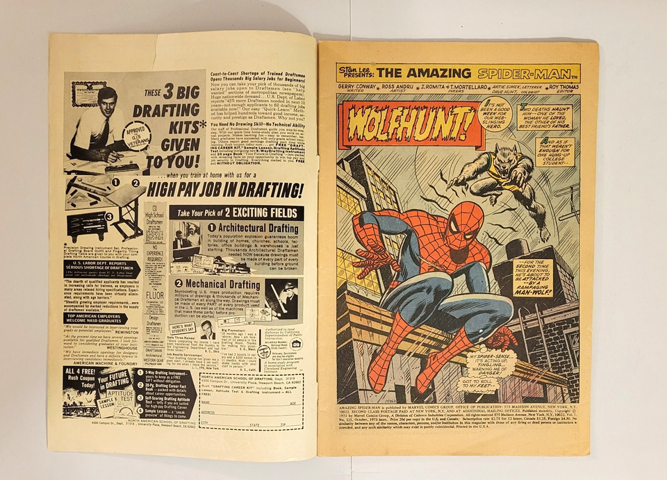 THE AMAZING SPIDER-MAN #121 & 125 DEATH OF GWEN STACY READER LOOK AT ...