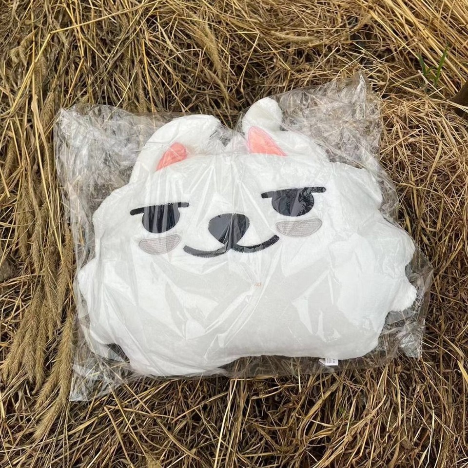 Cartoon TXT Dolls Cute Throw Pillow Trendy Kpop Idols Plush Pillow | eBay