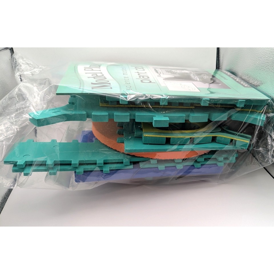 New Model Plus The Plant Cell Buildable Foam Activity Science School ...