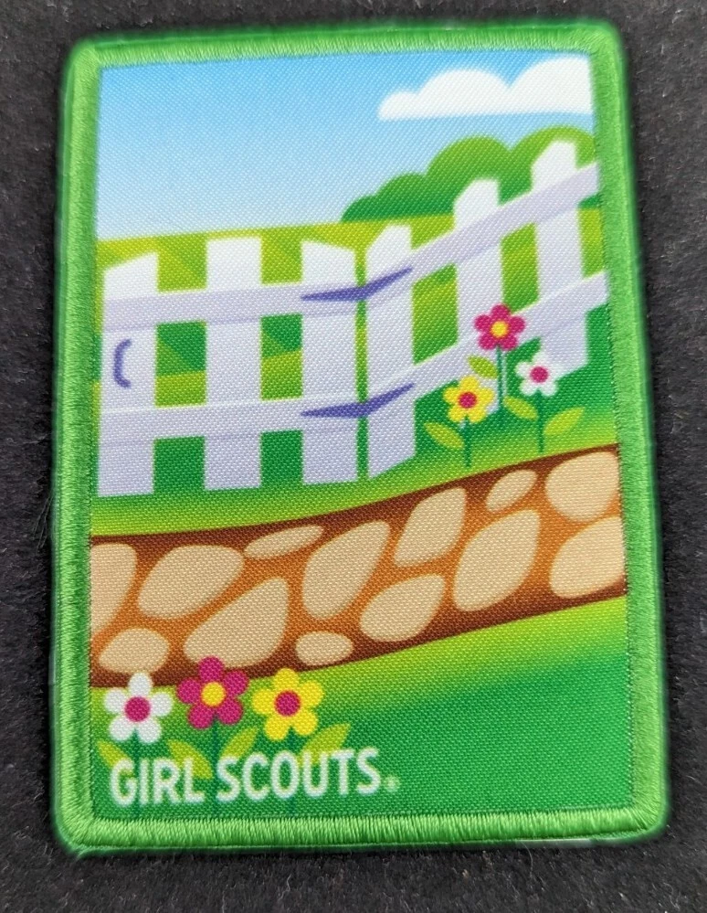 Daisy Flower Garden Journey | Best Flower Site