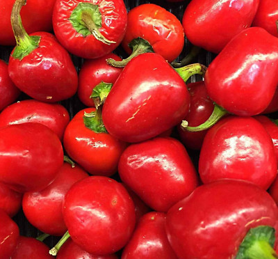 PIMENTO PEPPER SEEDS 50+ "SWEET" vegetable GARDEN pickling PEPPER FREE ...