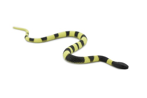 Banded Krait Snake, Rubber Reptile, Realistic Model Toy Hand Painted 6 ...