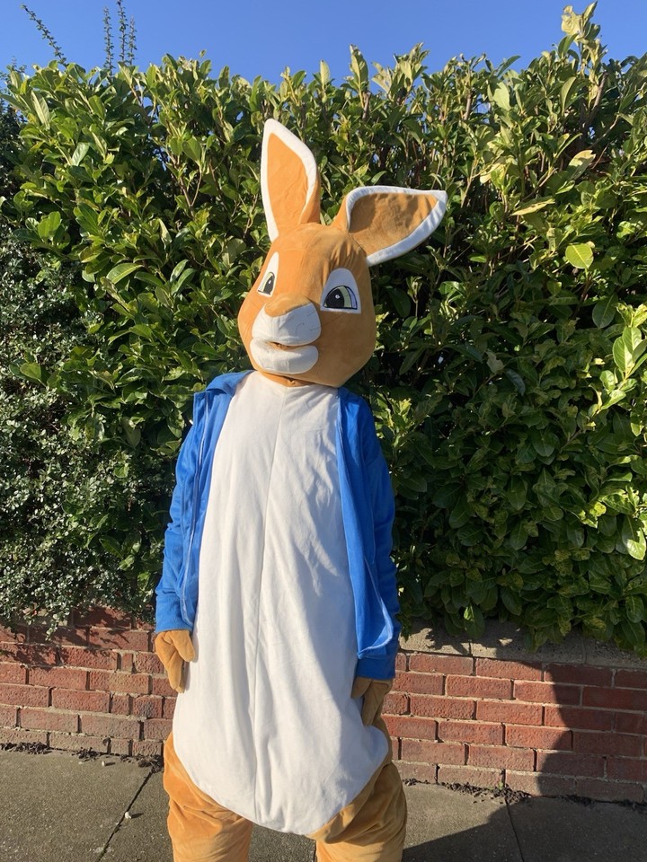 Peter Rabbit Adult Fancy Dress Mascot Costume Easter Bunny | eBay UK