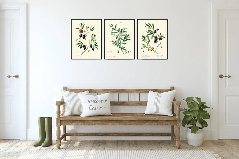 Vintage Olives Print Set of 3 Wall Art Antique Olive Tree Branch Italy ...