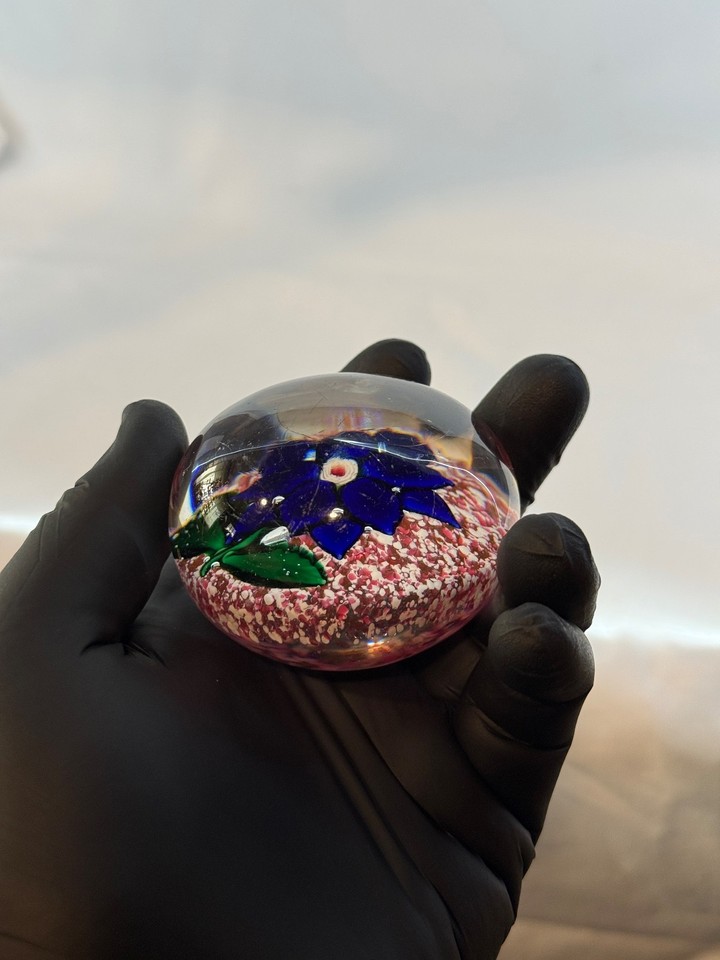 Antique Boston & Sandwich Glass Company Blue Poinsettia Glass ...