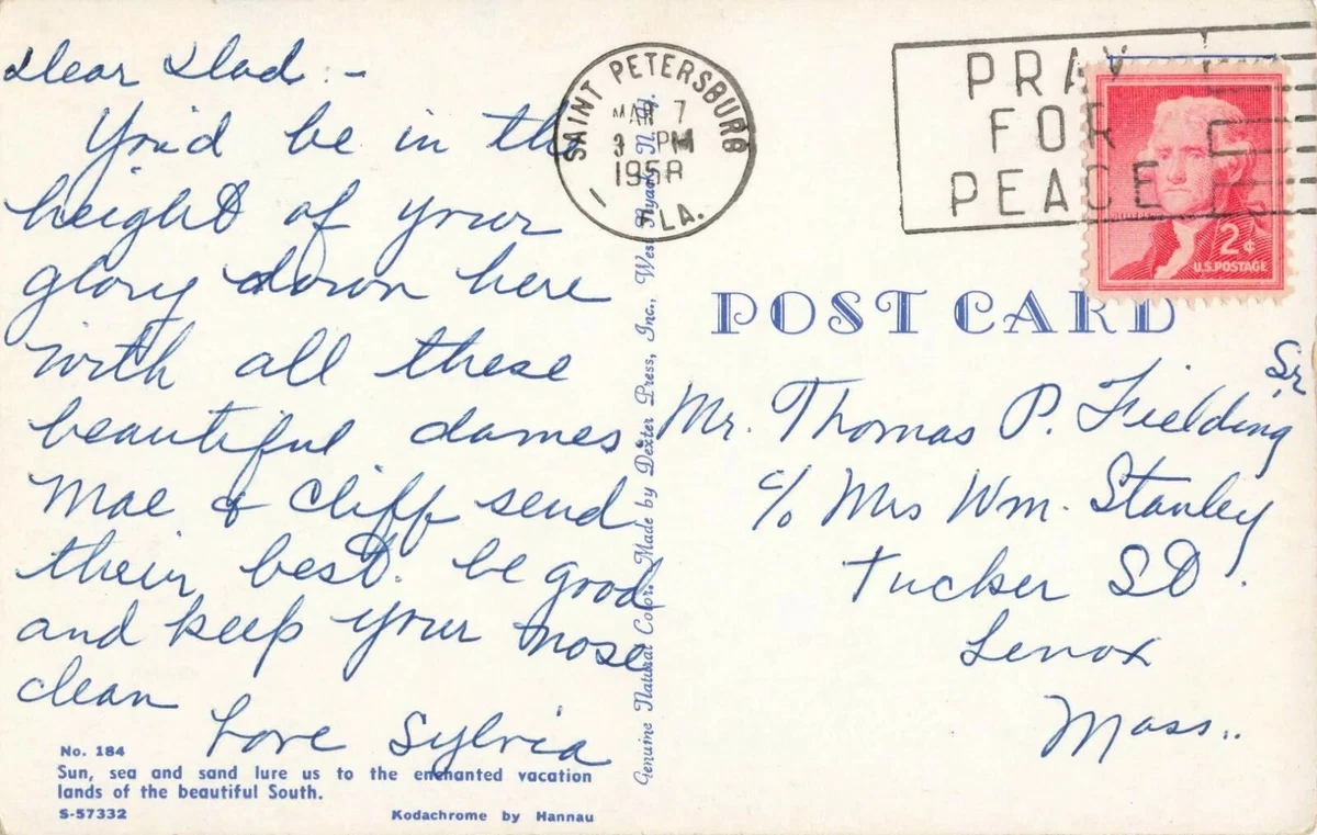 Florida Scenes Cliff