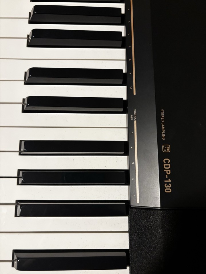 Casio CDP-130 Digital Piano 88-Key Weighted With Built In Speakers | eBay