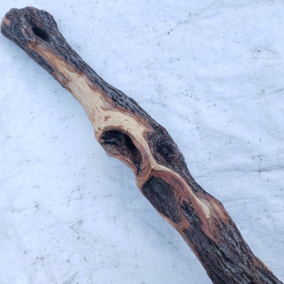 Diamond Willow Carving Wood Blank 27" Special Project Piece | eBay