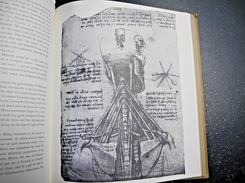 1967/Hellmut Wohl/Leonardo Da Vinci/20 color slides plus book | eBay