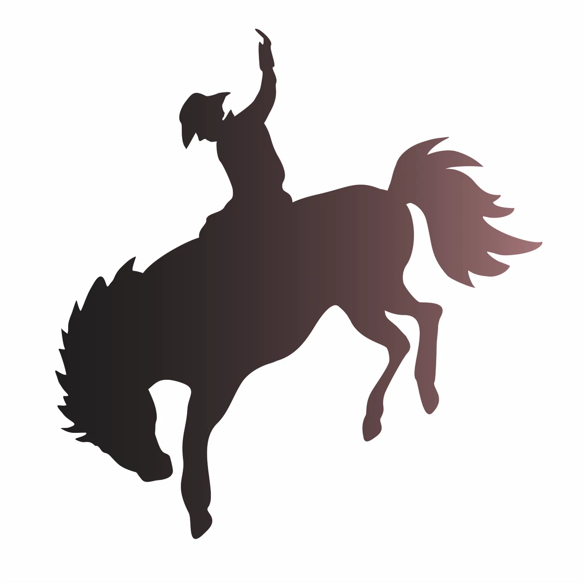 Bronc Rider Silhouette