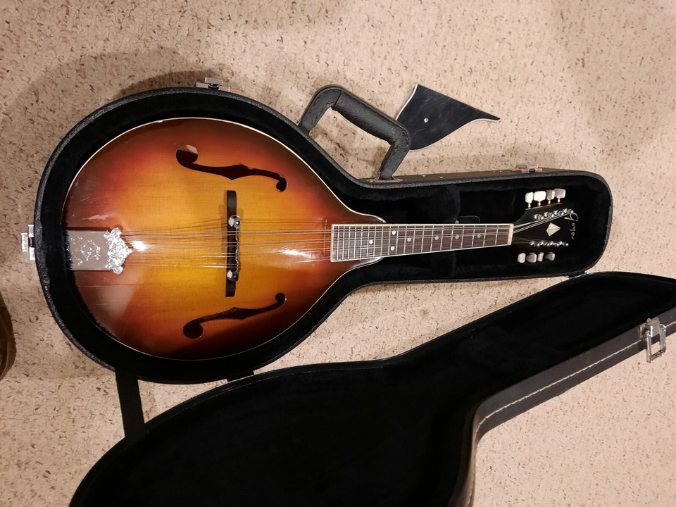 Goya Mandolin | eBay