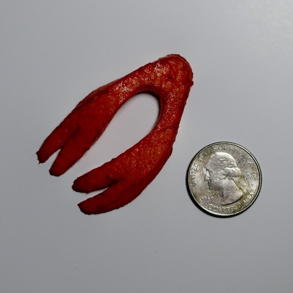 CRAWDAD SALTY FROG PORK RIND BAIT is MADE IN THE USA | eBay