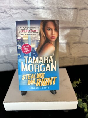 Stealing Mr. Right By Tamard Morgan - New - Mass Market 9781492634669| eBay